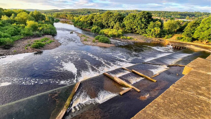 Salmon Fishing on the River Tyne - England's premier salmon fishery