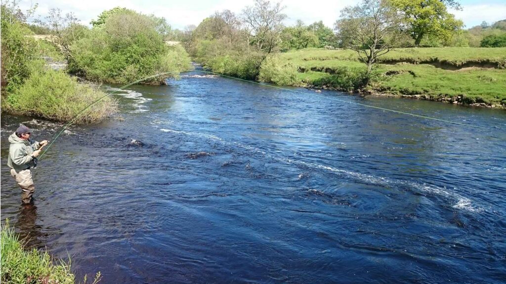 Salmon Fishing on the River Tyne - England's premier salmon fishery